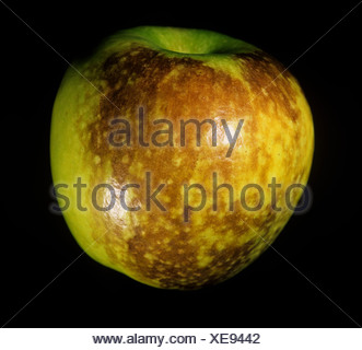 Superficial scald injury on apple caused by physiological changes in ...