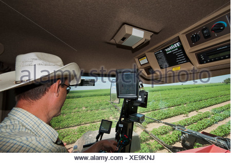 FARMER INSIDE COMBINE CAB USING GPS AND OTHER TECHNOLOGY TO FARM Stock ...