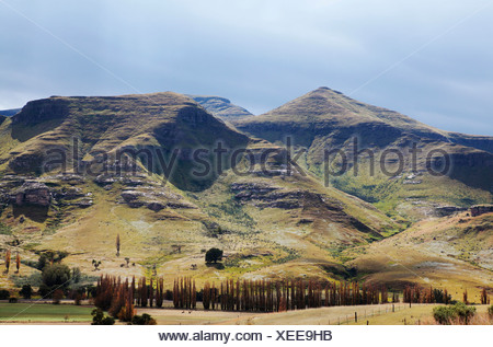 South Africa province Free State Clocolan settlement landscape hills ...