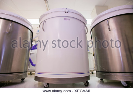 Cryogenics tanks in a laboratory Stock Photo: 27988654 - Alamy