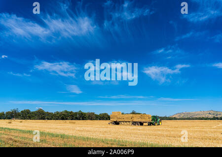 Landwirtschaft australischen Szene. Traktor stapeln Heu Ballen auf ...