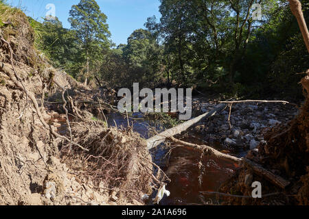 Flut dange an die Ufer der Arkle Beck, Fluss Swale nach einer Flutwelle ...