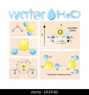 H2O. Wassermolekül Modell, die chemische Formel, Kugel-und-stick Modell ...
