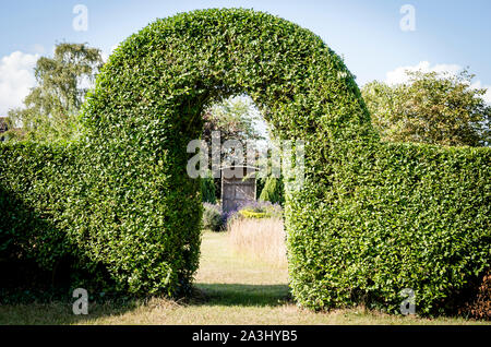 Getrimmte Liguster Hecke mit Bogen im Spätwinter Stockfotografie - Alamy