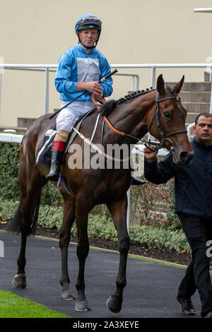Ascot, Berkshire, Großbritannien. Oktober 2024. VOLTERRA mit Jockey ...