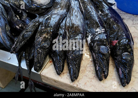 Schwarzer Degenfisch (aphanopus Carbo Stockfotografie - Alamy