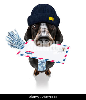Dackel wurst Hund einen großen Umschlag als Briefträger mit Kappe, auf ...