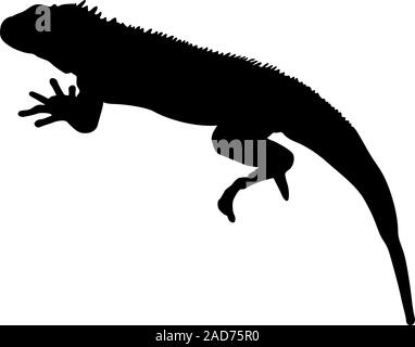 Lizard ist goanna Silhouette auf einem weißen Hintergrund. Vector ...