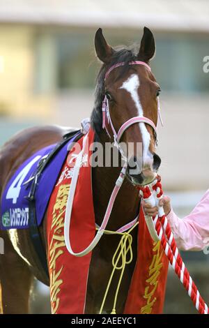 Kobe, Japan. 8 Dez, 2019. Resistencia (Yuichi Kitamura) Pferderennen ...