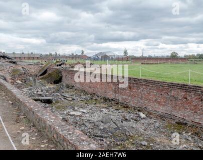 Die Verbrennungsanlagen von Krematorium II und Gaskammern in Auschwitz ...