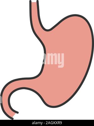 Die Struktur der Magen-Darm-Trakt. Die menschliche Anatomie. Vector ...