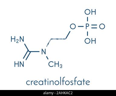 Creatinol-O-Phosphat oder COP Molekül. Skelettmuskulatur Formel Stock ...