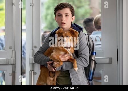 Die HEILENDEN KRÄFTE DES DUDEN von links: Tom Everett Scott, Larisa ...