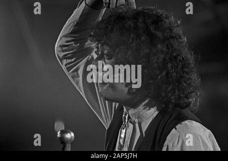 Patrick Hernandez, französischer Sänger, bei einem Auftritt in Hamburg ...