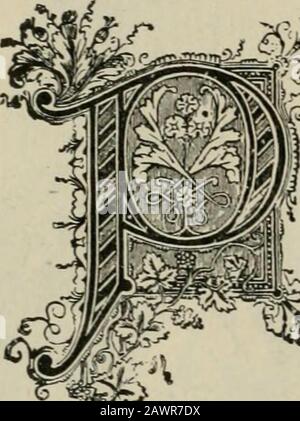 Pippin der Kurze, König der Franken von 751, 19. Artist: Anon ...