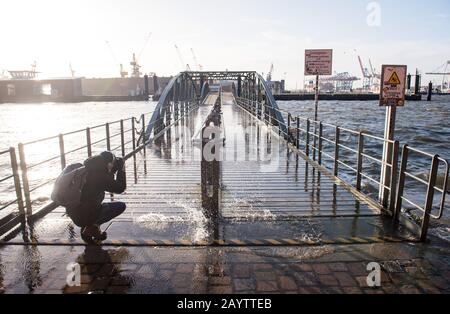 Hamburg, Deutschland. Februar 2020. Die Schauspieler Jannis Niewöhner ...