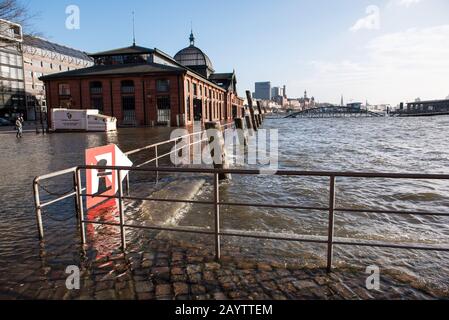 Hamburg, Deutschland. Februar 2020. Die Schauspieler Jannis Niewöhner ...