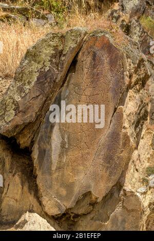 urgeschichte, Steinzeit, Felsgravuren des San, Twyfelfontein, Namibia ...