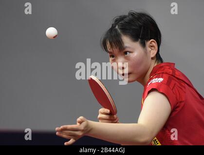 Ittf qatar open 2020 store