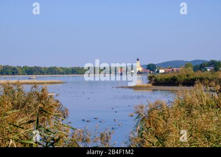 Echinger Stausee, Eching, Naturschutzgebiet Vogelschutzgebiet Mittlere ...