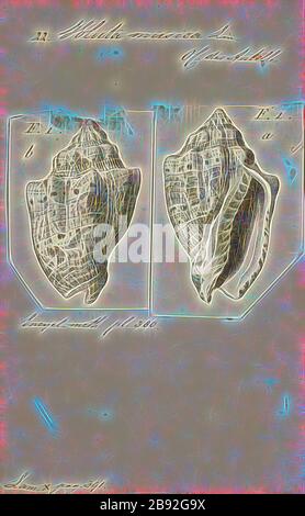 Voluta musica, Drucken, Voluta musica, Common Name der Musik ...