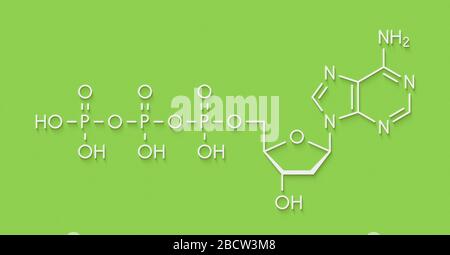 Deoxyadenosine Triphosphat Molekül Stockfotografie - Alamy