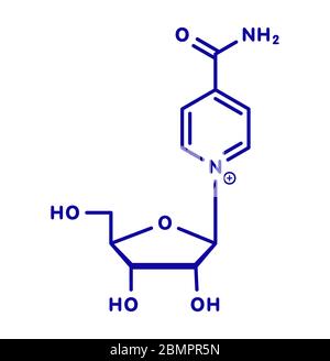 Nicotinamid Ribosid (NR)-Molekül. Vorläufer von Nicotinamid Adenin ...
