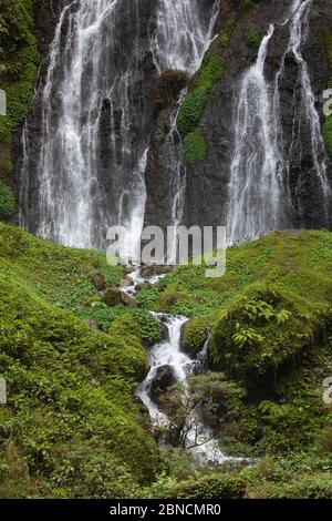 Wasserfall Chupan sewu in Java, Indonesien. Wasserfall in den ...