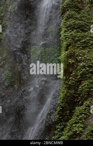 Wasserfall Chupan sewu in Java, Indonesien. Wasserfall in den ...