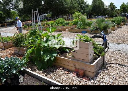 Regen Garten Regen erholen und Regen anwenden Urban Garden für die ...