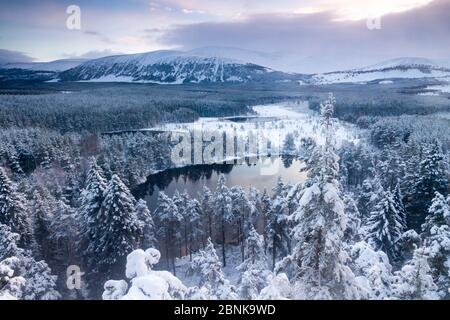Blick über Uath Lochans vor Sonnenaufgang nach starkem Schneefall ...