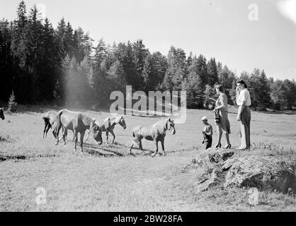Farmers Finland - Finnish Daily Life Forest Academy of Korkeakoski 1939 ...