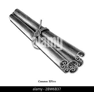 Zimt Grafik schwarz weiß isoliert Skizze Illustration Vektor Stock ...