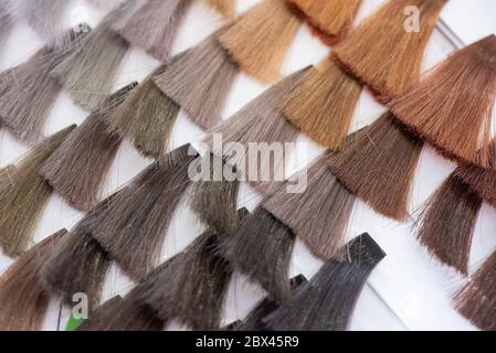 Farbtabelle für Haare. Palette von gefärbten hellen glänzenden ...