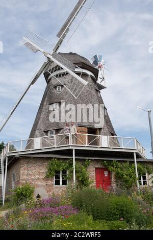 Stralsund, Deutschland. Juni 2020. Die Tierfreunde Thorsten Hein und ...