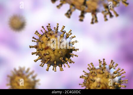 Computer Illustration ein Varizellen Zoster Virus-Partikel, die Ursache ...