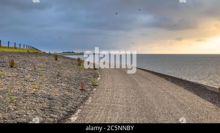Blick über Waddensea vom Deltawerke-Deich in Oosterland auf der ...