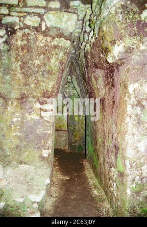 Maya-Ruine von Yaxchilan mit Labyrinth-Struktur im tropischen Regenwald ...