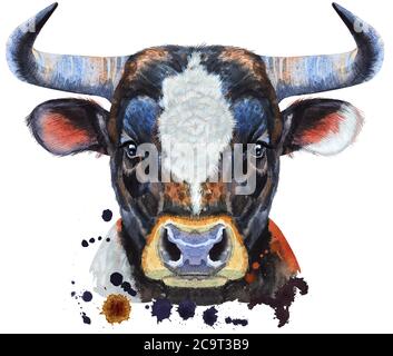 Stier aquarell Grafik. Stier Tier Abbildung mit splash Aquarell ...