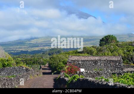 Ländliche Wege inmitten von Weinbergen und üppiger Vegetation in den ...