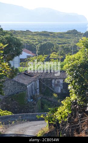 Ländliche Wege inmitten von Weinbergen und üppiger Vegetation in den ...