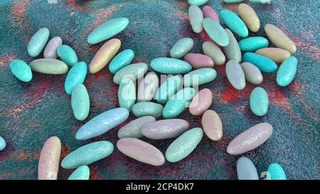 Pestbakterien (Yersinia pestis), Computerdarstellung. Y. pestis sind ...