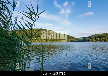 Tullnerbach: see-Stausee Wienerwaldsee in Wienerwald, Wienerwald ...