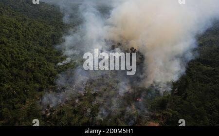 Amazonas Brasilien Brennen des Regenwaldes um Land für die ...