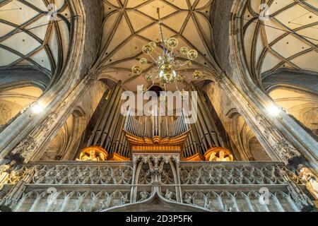 Kirchenorgel und Decke des Stephansdom in Wien, Österreich, Europa - St ...