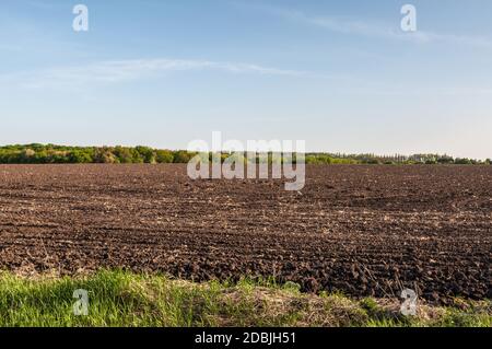 Schwarzerde der Ukraine, schwarzer Erde land Stockfotografie - Alamy