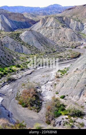 Tabernas Wüste, in spanischer Sprache Desierto de Tabernas, Andalusien ...