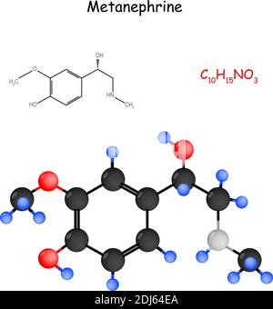 Adrenalin-Molekülstruktur. Epinephrine skeletale chemische Formel ...