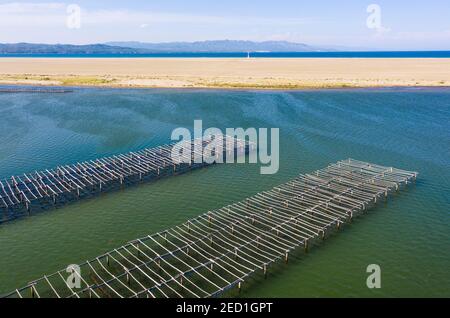 Muschel- und Austernzucht in der Bahia del Fangar, Luftaufnahme ...