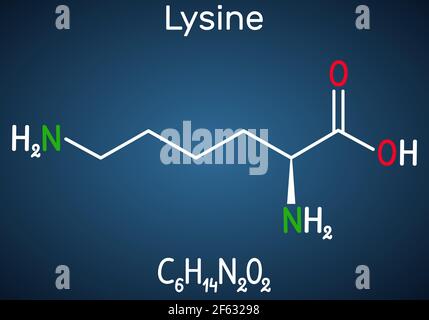 Lysin (L- Lysin , Lys, K) Aminosäuremolekül. Es wird in der Biosynthese ...